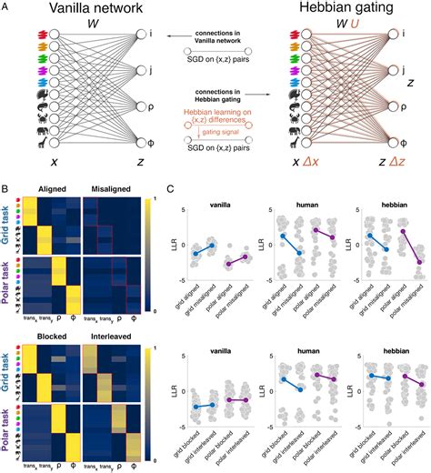 Curriculum Learning For Human Compositional Generalization Pnas