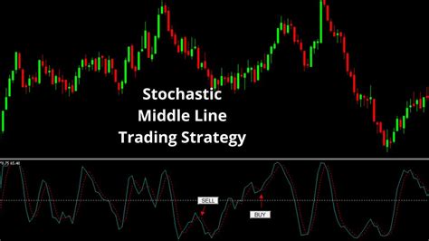 Lt Stochastic Ea Buy Trading Robot Expert Advisor For Metatrader 5
