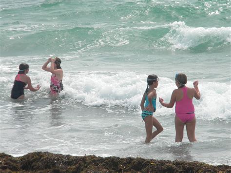 Summer School Safari Girl Scout Summer Camp 2010troop 10224 Loves