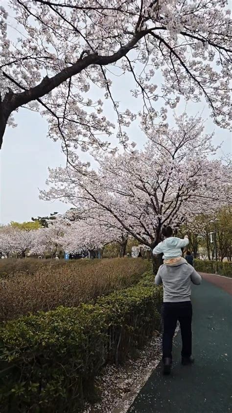 Cͨhͪaͣnrͬaͣnhͪoͦuͧs͛eͤ 쁘띠엘린이벤트 제품제공 New 퓨어닷 아기 피부전용 로션 물티슈 최대730배 보습성분 함유로 런칭되었대요 아기전용