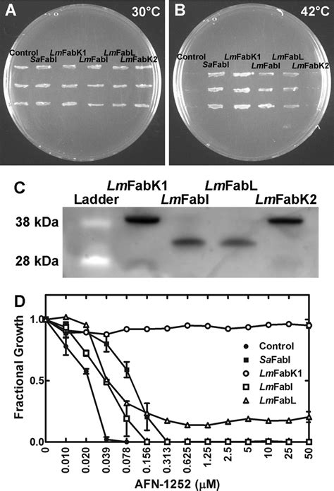 L Monocytogenes Encodes Two Functional Enoyl Acyl Carrier Protein Download Scientific Diagram