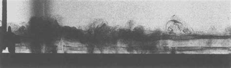 Temporal Evolution Of Some 25 Cm Of A Vortex Pair With A Total Length Download Scientific