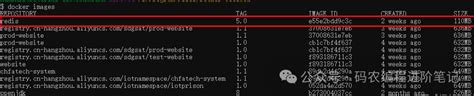 Docker安装redis并启动设置密码docker Redis 设置密码 Csdn博客 Docker安装redis并启动设置密码docker Redis 设置密码 Csdn博客