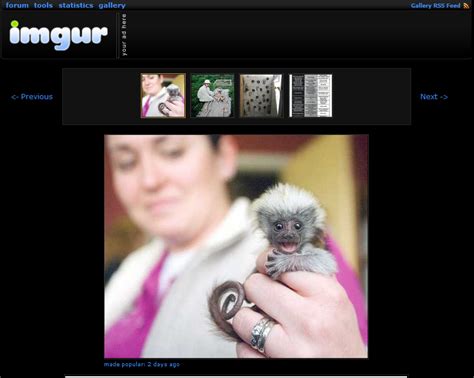 Wayback Machine View Archives Of Past Webpages Album On Imgur