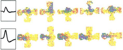 Firing Rate Maps Of Place Cells In Experiment 1 Cell 1 Had Its Field