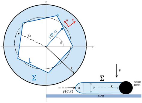 The 2 Dimensional Model For Rotating Polygons In Leidenfrost Shells