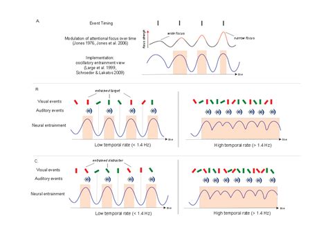 Pdf Temporal Structure In Audiovisual Sensory Selection