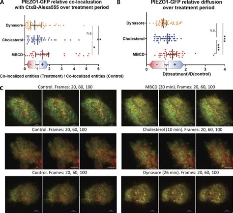 Time Lapse Imaging Of Single Cells Exposed To Treatments Live