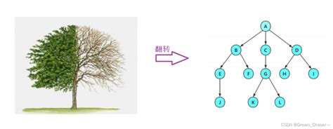 【数据结构与算法】树、二叉树的概念及结构 详解 判断一棵树是什么类型的二叉树的算法数据结构 csdn博客