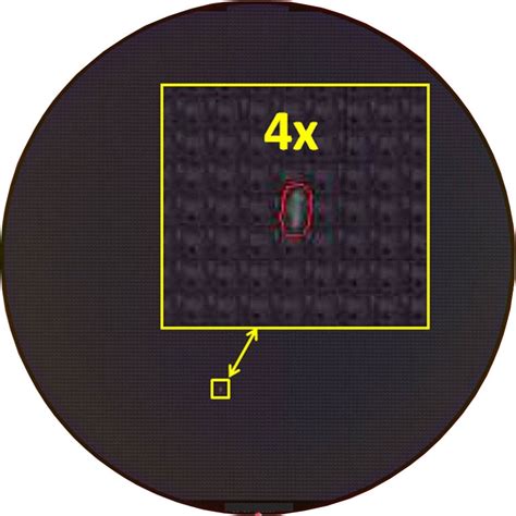 Wafer Contamination Small Microtronic Inc