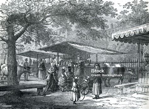 런던 세인트 제임스 공원의 가난한 사람들을위한 우유 박람회 19 세기 19세기에 대한 스톡 벡터 아트 및 기타 이미지 19세기 19세기 스타일 Central