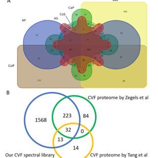 A Overview Of The Overlap Of The Various Components That Make Up The Download Scientific