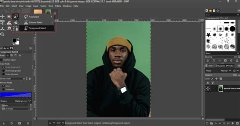 Tout Ce Que Vous Devez Savoir Sur Lédition Décran Vert Avec Gimp