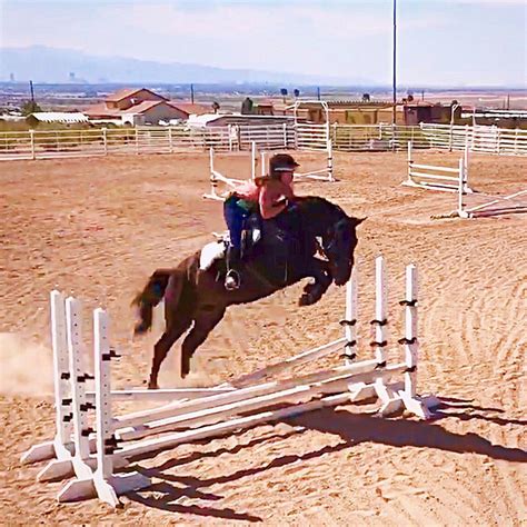 Jagger In The Air Again 👏🏻👏🏻👏🏻😉 Erin Parker