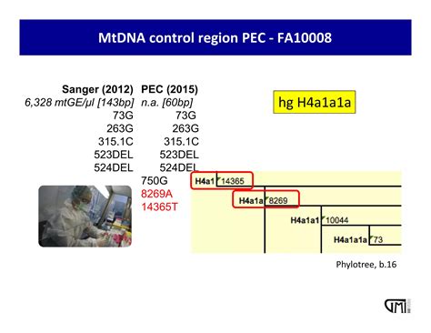 Massively Parallel Sequencing In Forensic Genetics Pdf