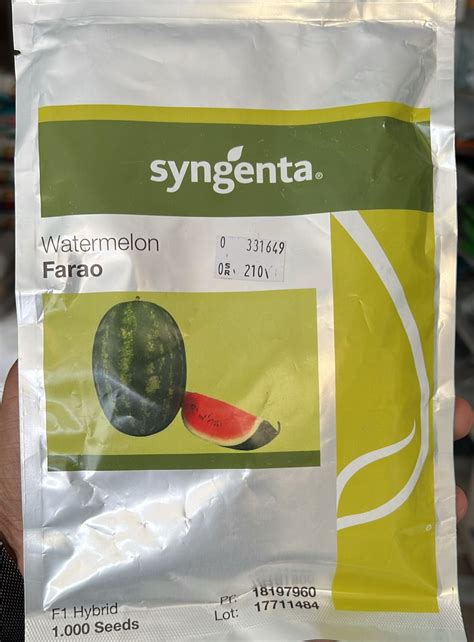 Watermelon Farao F1 Hybrid Village Fodder And Seeds