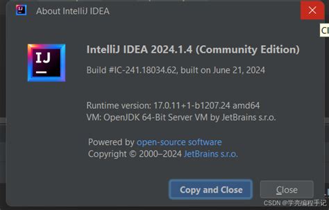 使用idea 202414 远程debug调试配置步骤idea2024远程debug Csdn博客