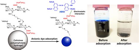 Preparation And Characterization Of Amphoteric Cellulose Hydrogels As Adsorbents For The Anionic