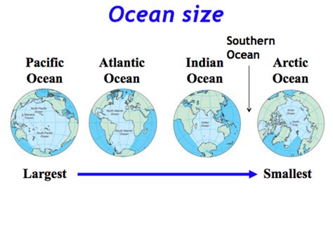 The 5 Oceans Flashcards Quizlet