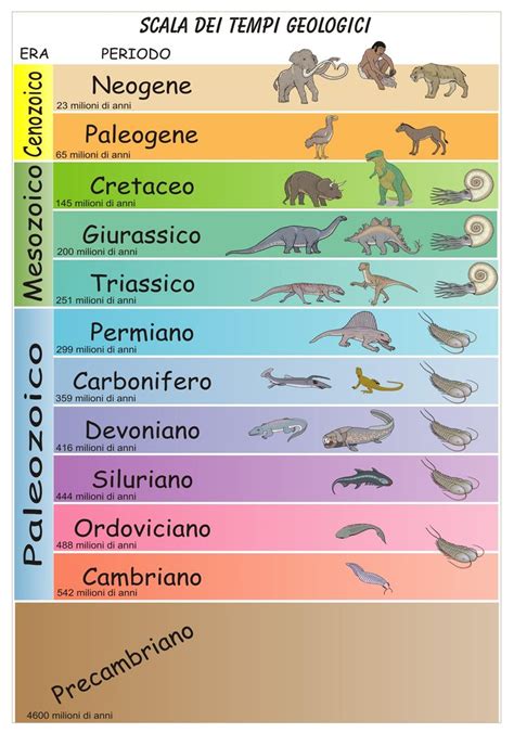 Tempi Geologici Scienza Della Terra Poster Geologia