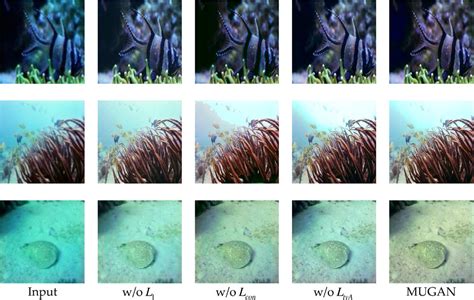 Underwater Image Enhancement Using A Mixed Generative Adversarial Network Mu 2023 Iet