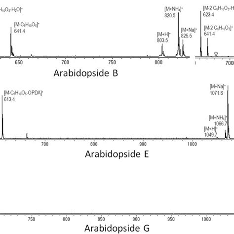 Major Adducts And Fragments During Hplc Ms Analysis Of Arabidopsides A Download Scientific