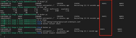 docker 容器中部署项目后一直重启原因 netcore 自动重启了 原因 csdn博客
