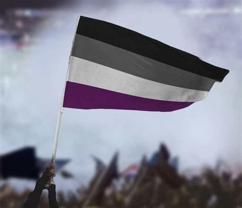 Asexual Ace Pride Flag Asexual Asexual Pride Asexual Ace