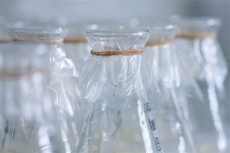 자연 약물 연구 유리 제품에서 천연 유기 및 과학 추출 대체 녹색 약초 실험실 및 개발 개념 스톡 사진 0명에 대한 스톡 사진 및 기타 이미지 Istock