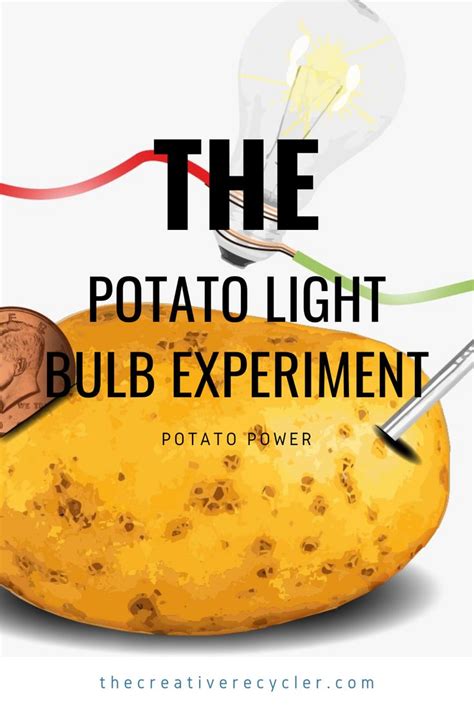 Why Does A Potato Light Up A Bulb At Gerald Chambers Blog