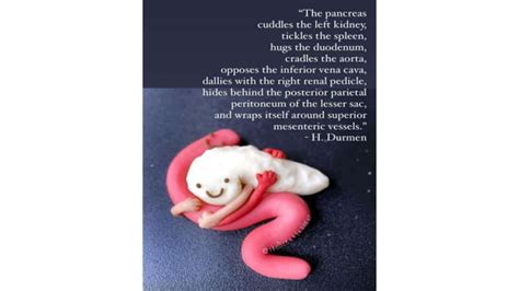 Pancreatitis And Its Complications And Acute Cholangitis Ppt