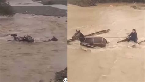 ფაქტები “საშინელება ცხენი მდინარემ წაიღო” მოქალაქე ბოლნისიდან