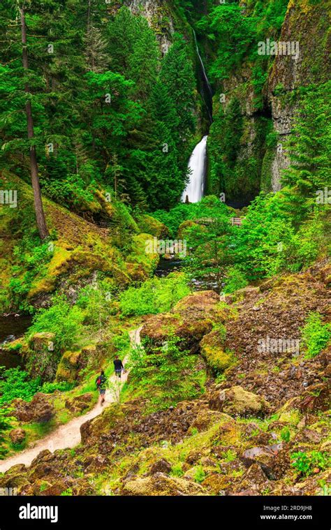 Wahclella Falls Columbia River Gorge National Scenic Area Oregon Usa