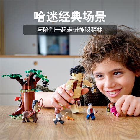 乐高哈利波特 霍格沃 人物 大山谷图库