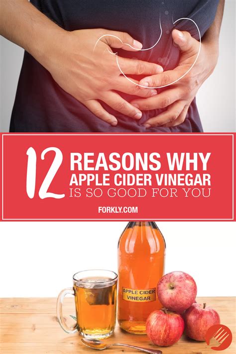 Reasons Why Apple Cider Vinegar Is So Good For You Forkly Drinking