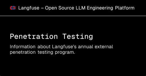 Penetration Testing Langfuse