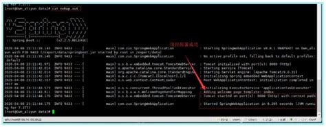 怎么进入项目后台服务器 项目部署并常驻在服务器后台 csdn博客