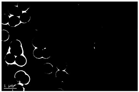 Preparation Method Of Hollow Cobaltosic Oxide Microsphere Eureka Patsnap