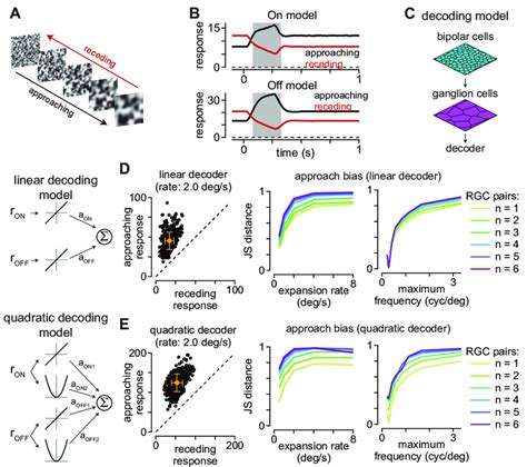 Computational Model Predicts Selectivity For Approaching Textures A