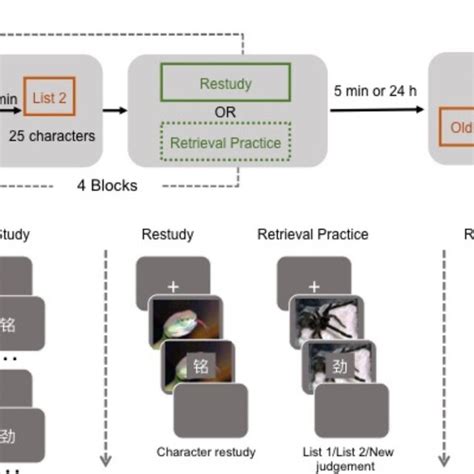 A Experimental Design For Each Learning Block Participants Were Download Scientific Diagram