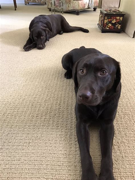 Missed You Both More Than Words Weejulietots Top 0 1 Onlyfans 😇 Weejulietots