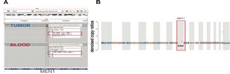 Somatic Bi Allelic Loss Of Men1 A A Somatic Deleterious Men1 Download Scientific Diagram