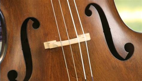 How To Read Cello Sheet Music Our Pastimes