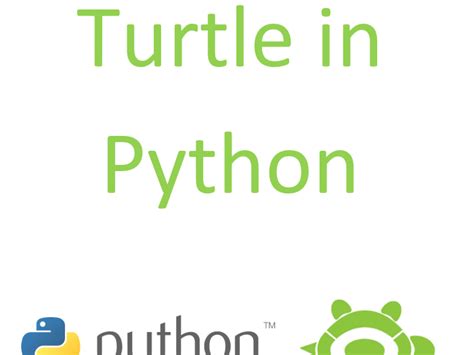 Python Turtle Workbook Teaching Resources