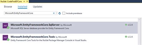 code first entity framework core blog of pi
