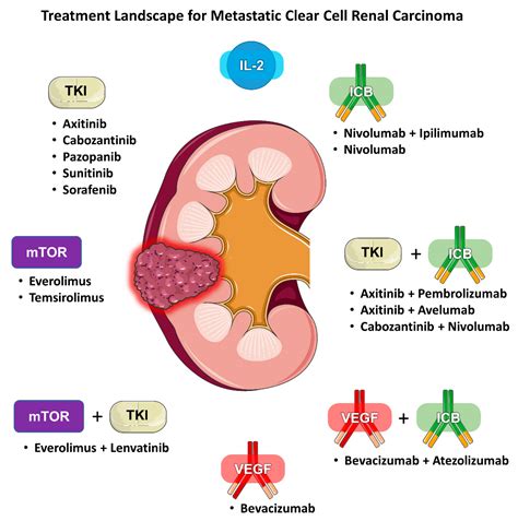 Biomarker Development For Metastatic Renal Cell Carcinoma Omics