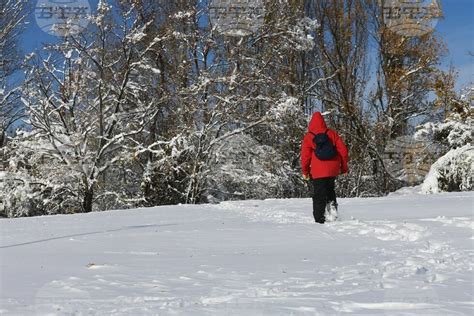 В законодателството няма понятие за отсъствие от работа при лошо време
