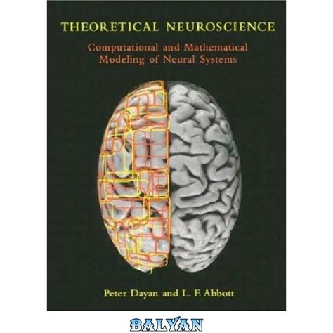خرید و قیمت دانلود کتاب Theoretical Neuroscience Computational And Mathematical Modeling Of