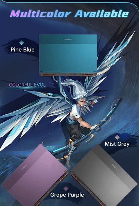 Colorful-Product- COLORFUL EVOL X15 AT
