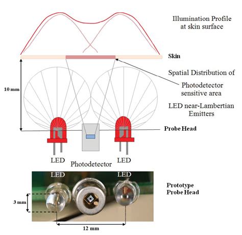 12 Structure Of The Optical Probe With Apd Photodiode Sensor And Light Download Scientific